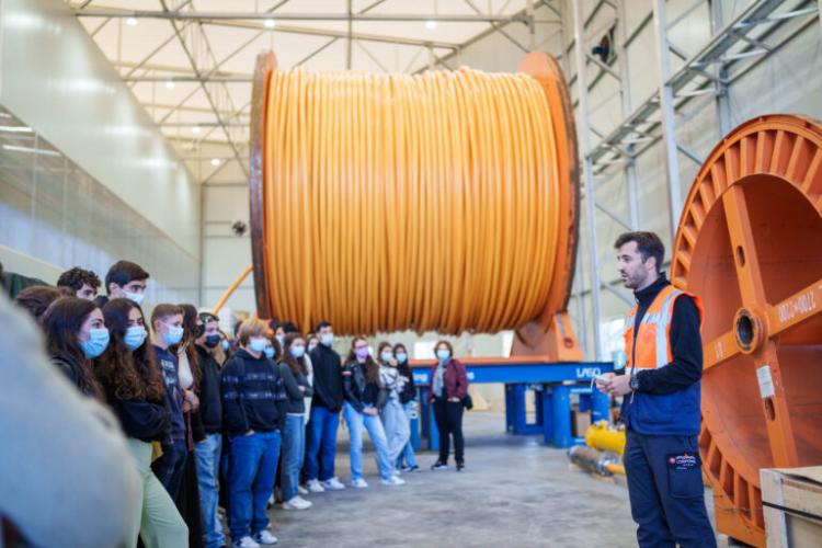 CorPower - CorPower Portugal shares wave energy mission through ...